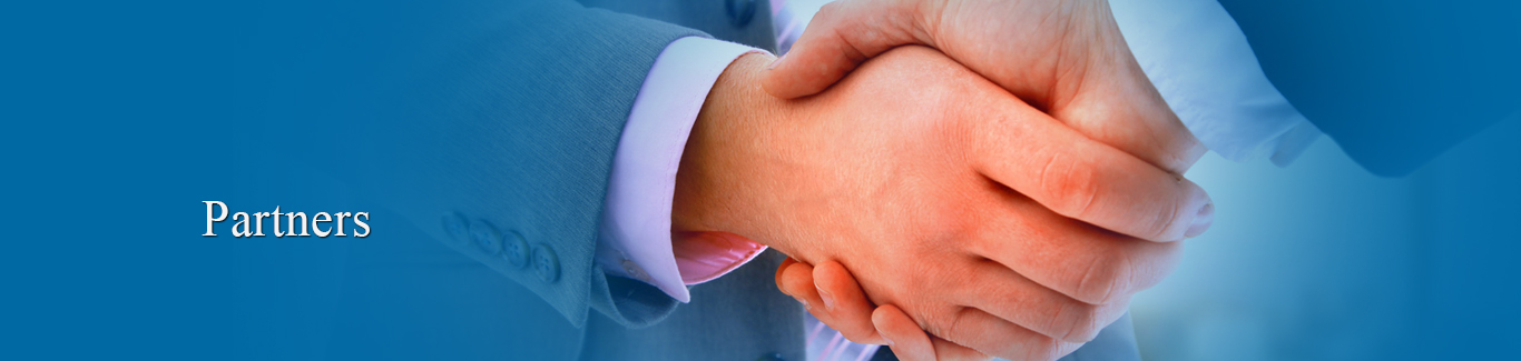 Institutions NGOs - The We Foundation